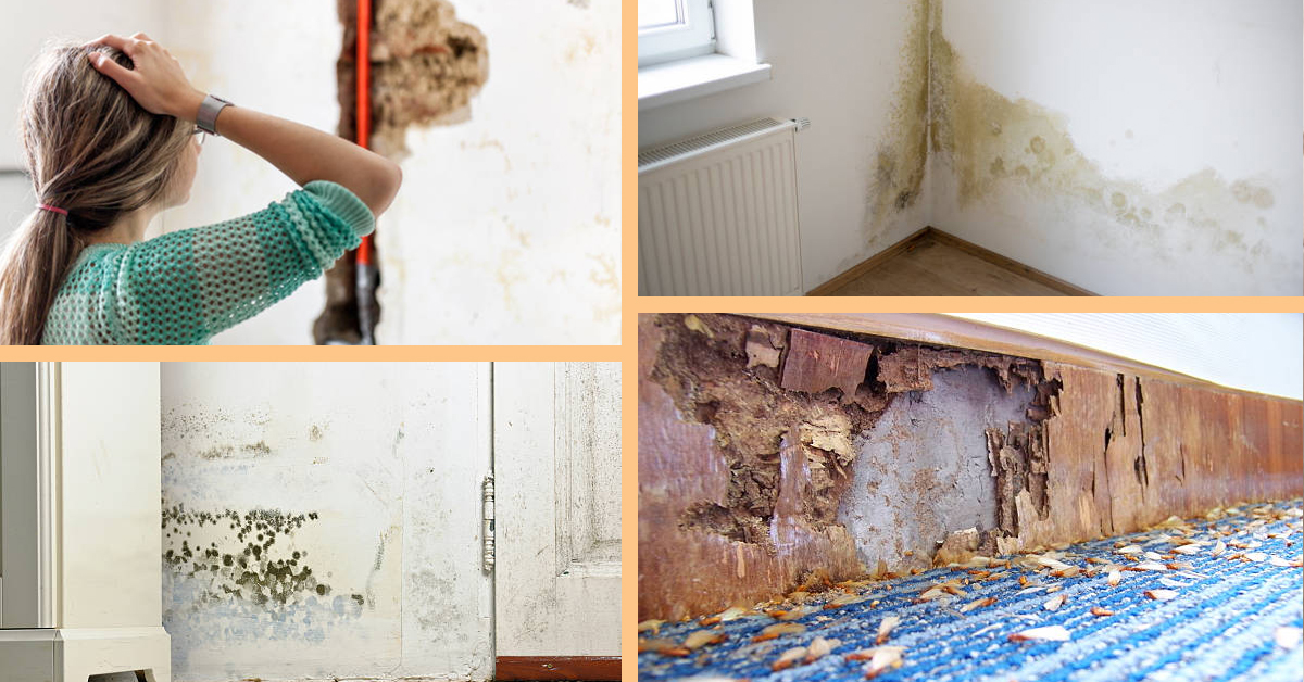 Common Structural Problems in Residential Homes